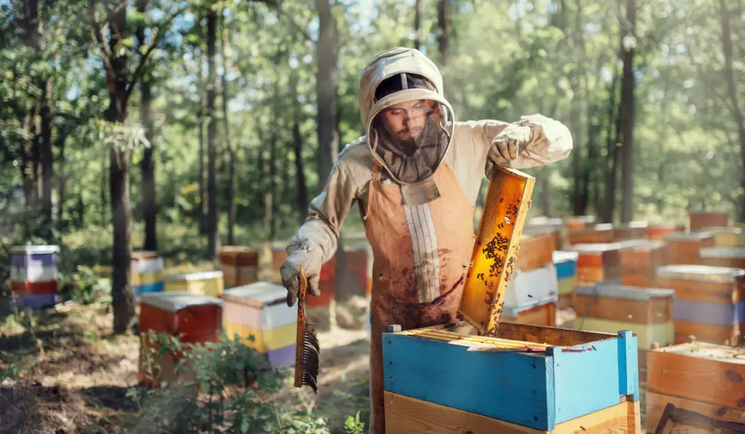 7 Fun Jobs Working With Bees (With Salaries) - Bee Real Honey