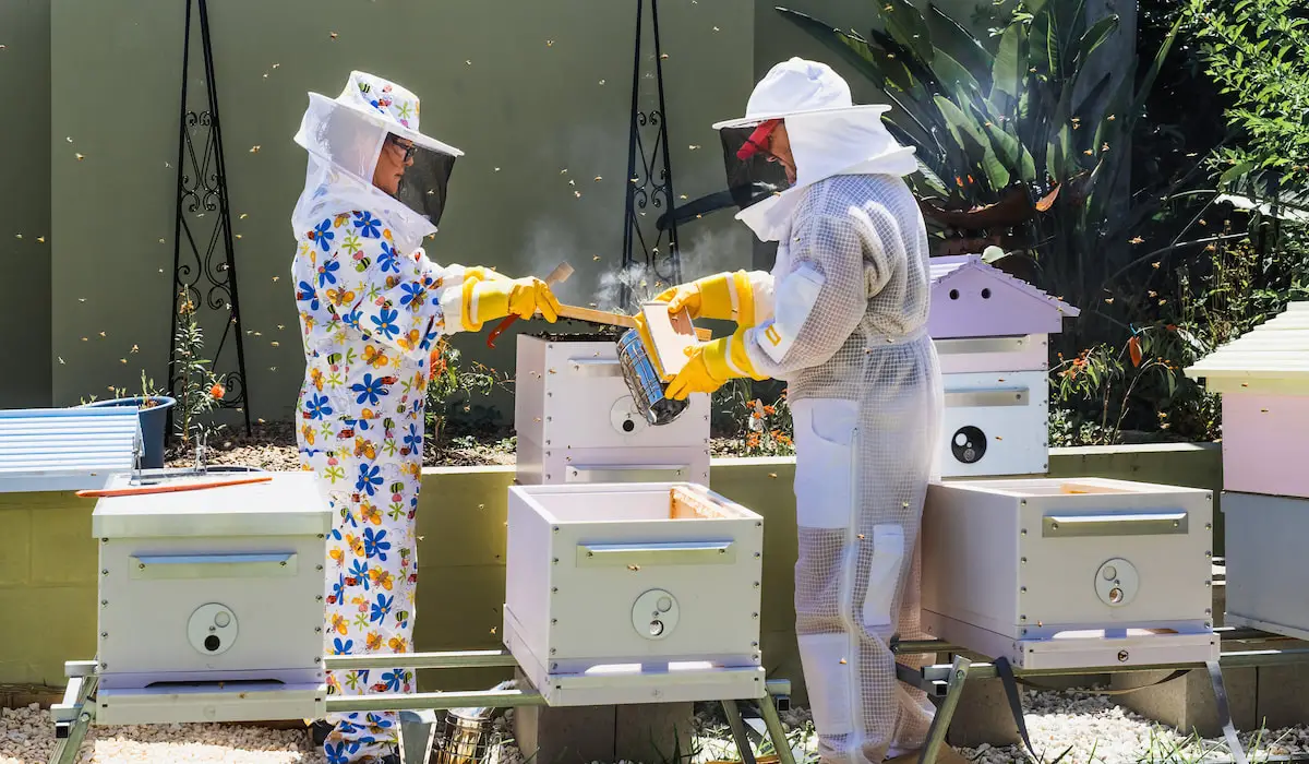 7 Fun Jobs Working With Bees (With Salaries) - Bee Real Honey