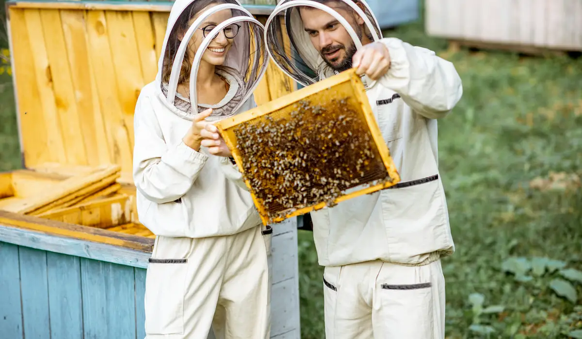 7 Fun Jobs Working With Bees (With Salaries) - Bee Real Honey