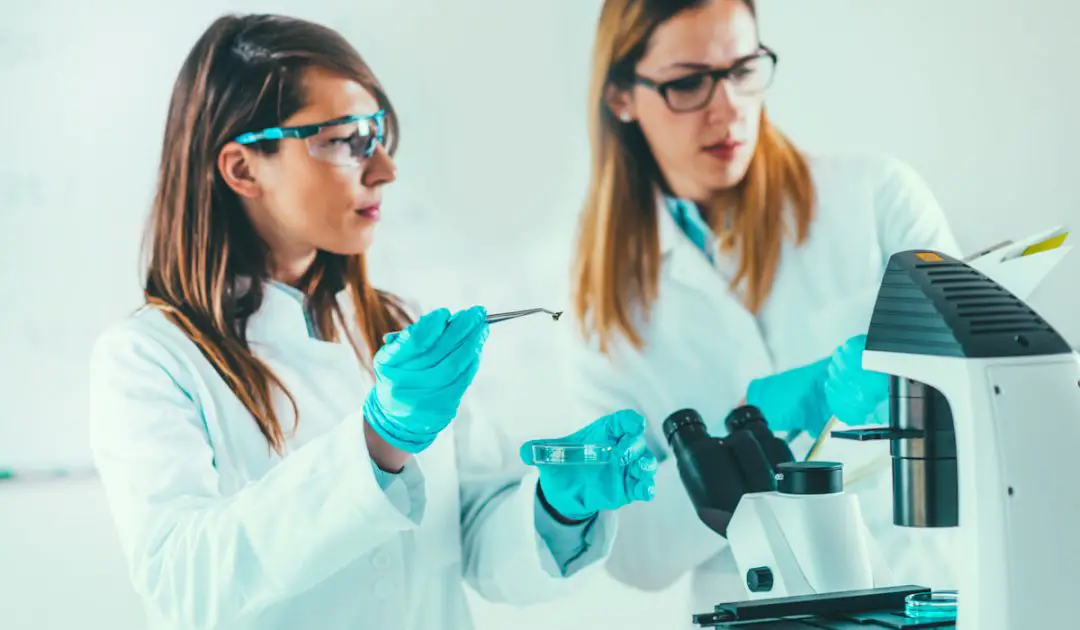 7 Fun Jobs Working With Bees (With Salaries) - Bee Real Honey