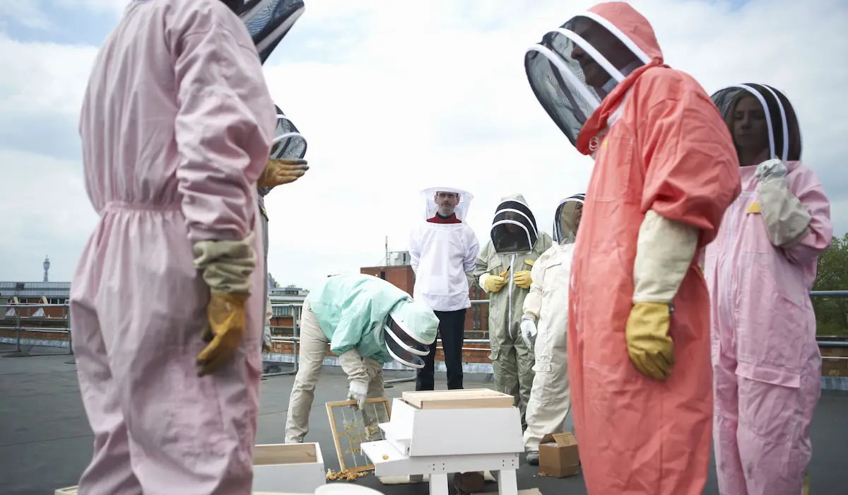 7 Fun Jobs Working With Bees (With Salaries) - Bee Real Honey